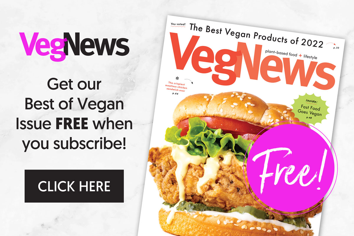 VegNews Editors' Favorite Vegan Products
