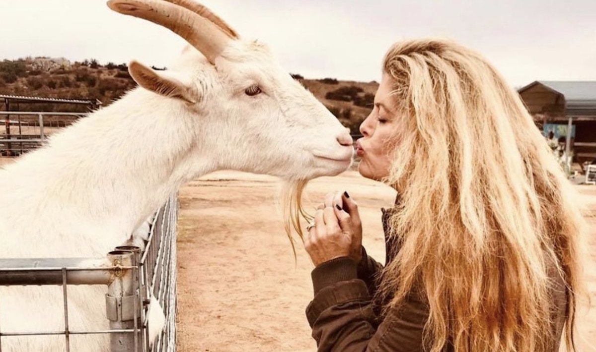8 Inspiring Vegans Over 50 VegNews 8-inspiring-vegans-over-50-vegnews