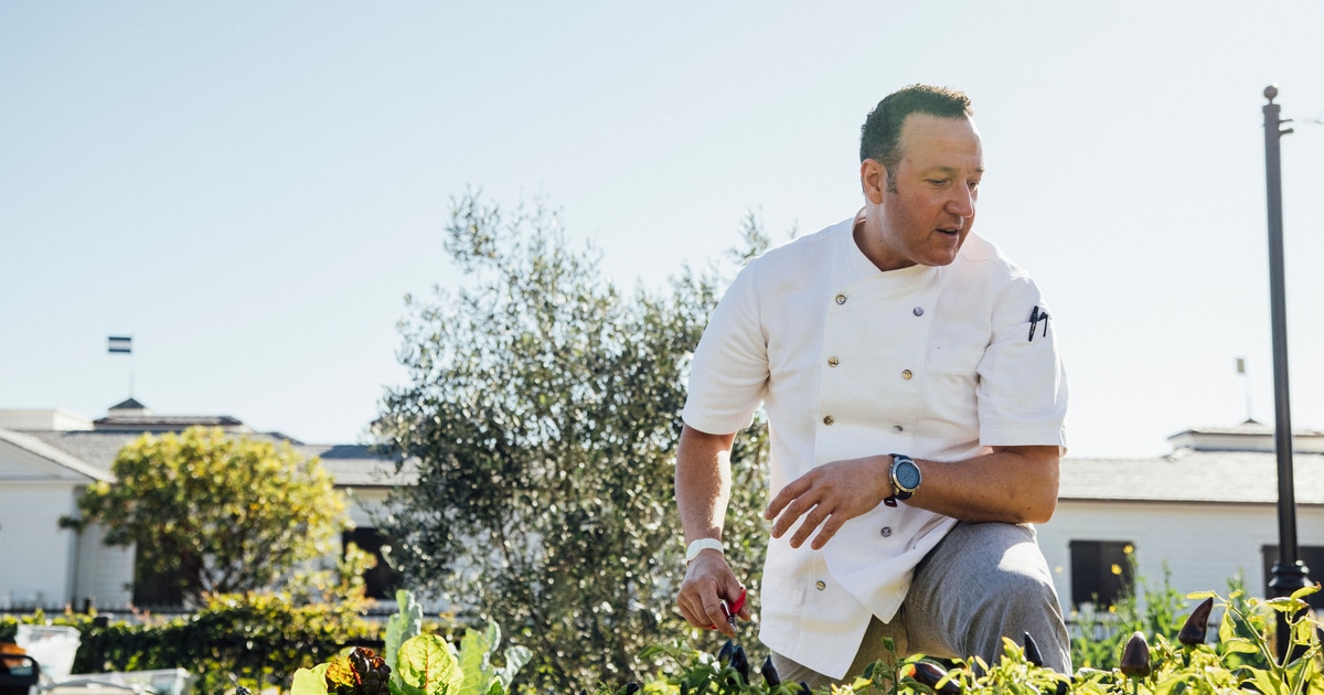 2 Michelin Chefs Bring 8-Course Vegan Experience to California’s ...