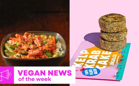 Today's Top Vegan News Stories | VegNews