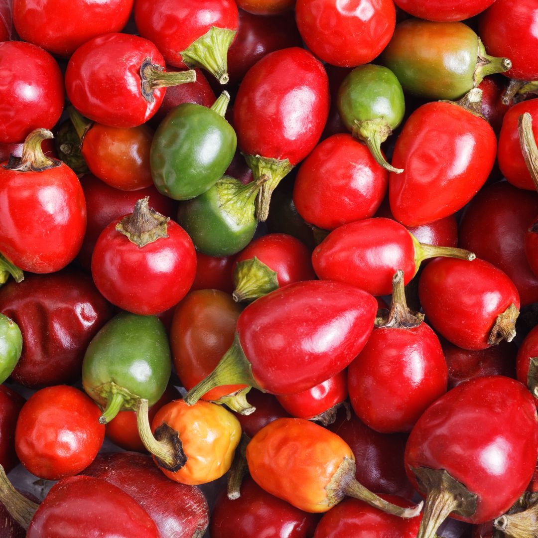 7 Mild Peppers You Should Know and How to Cook Each One | VegNews