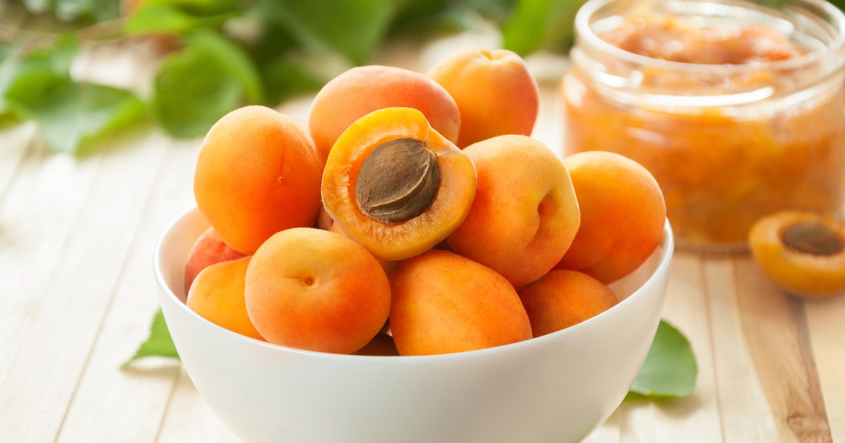 Apricot Kernels Can Replace Dairy, But There’s a Risk | VegNews