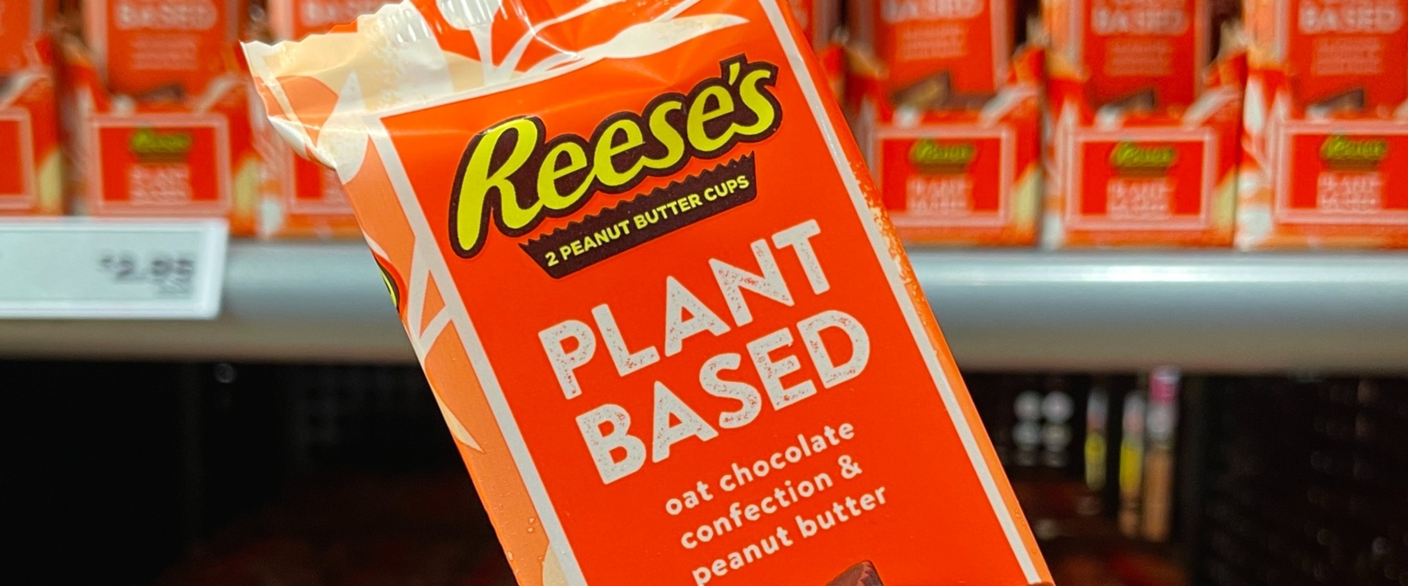 VegNews Editors' Favorite Vegan Products