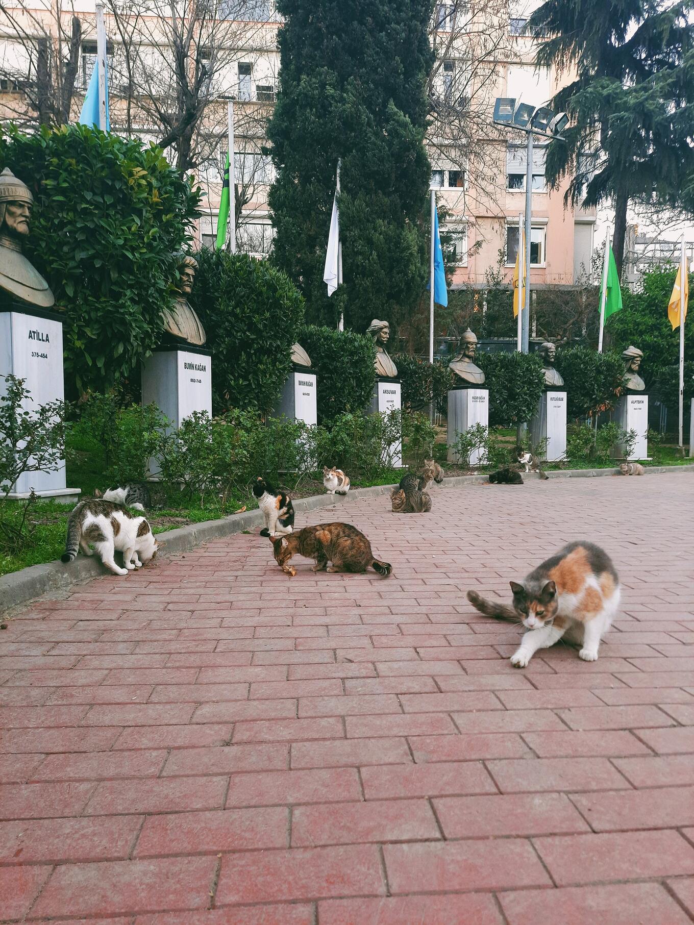 Why Istanbul Is a Must-Visit for Vegan Food Lovers | VegNews