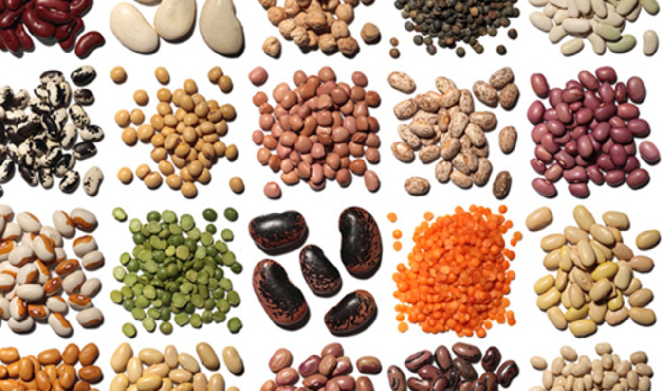New Study: Beans Prove to be as Filling as Beef | VegNews