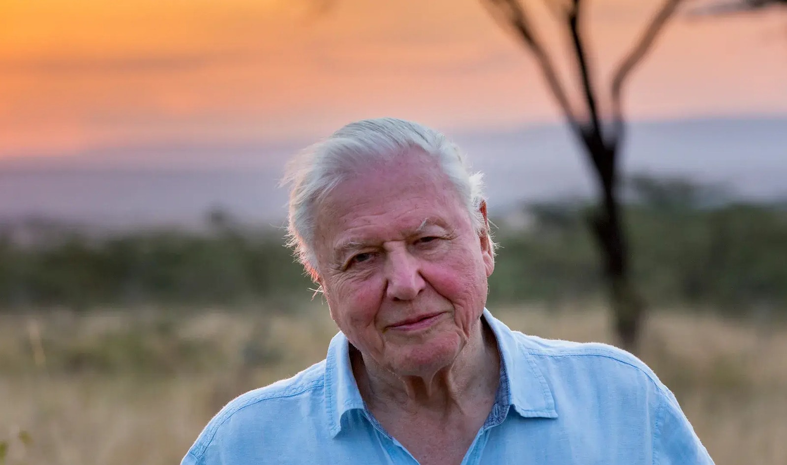 David Attenborough Just Turned 99. These Are the 5 Lifestyle Habits He ... David Attenborough Just Turned 99. These Are the 5 Lifestyle Habits He ...