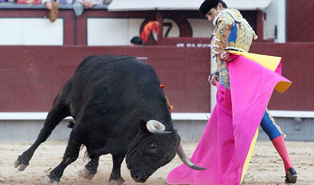 European Parliament to End Bullfighting Subsidies | VegNews